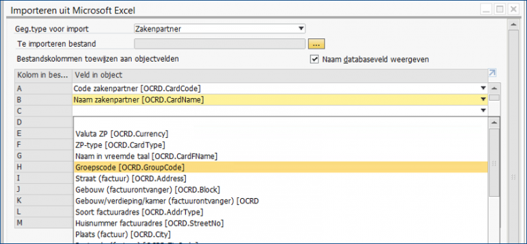 SAP Business One Data import met Excel - Asaptive